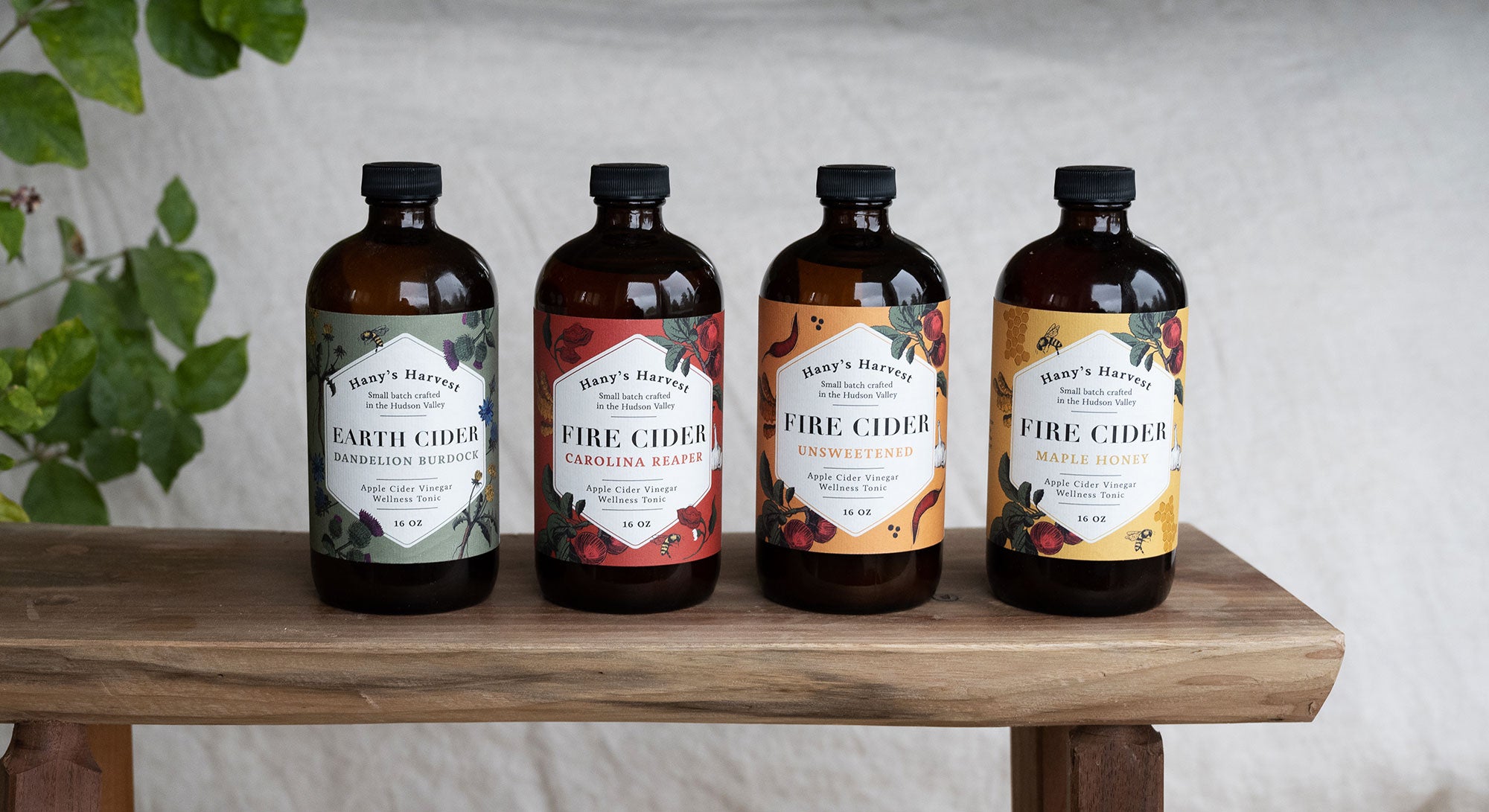 Fire Cider vs Earth Cider – Hany's Harvest