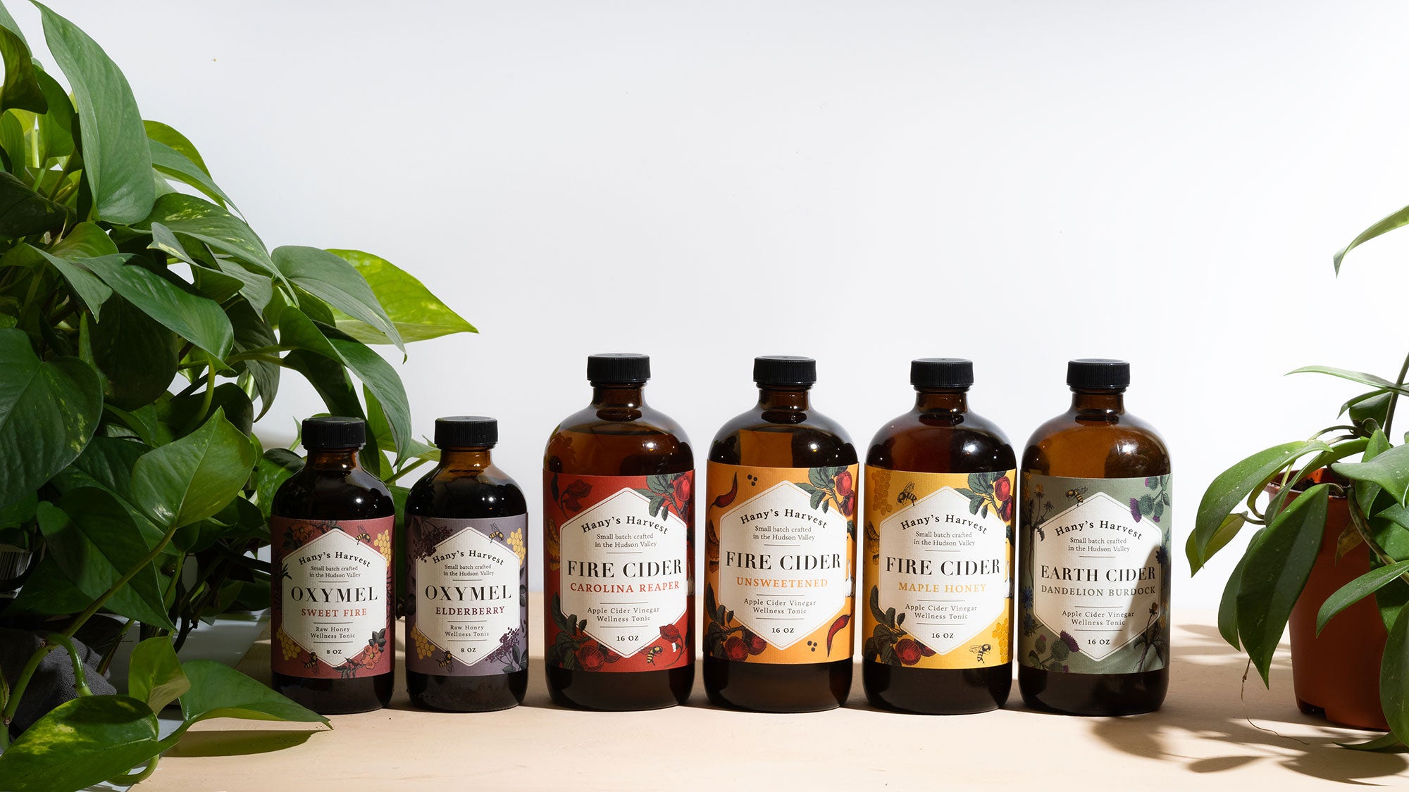 Officially Launching our Rebrand! – Hany's Harvest