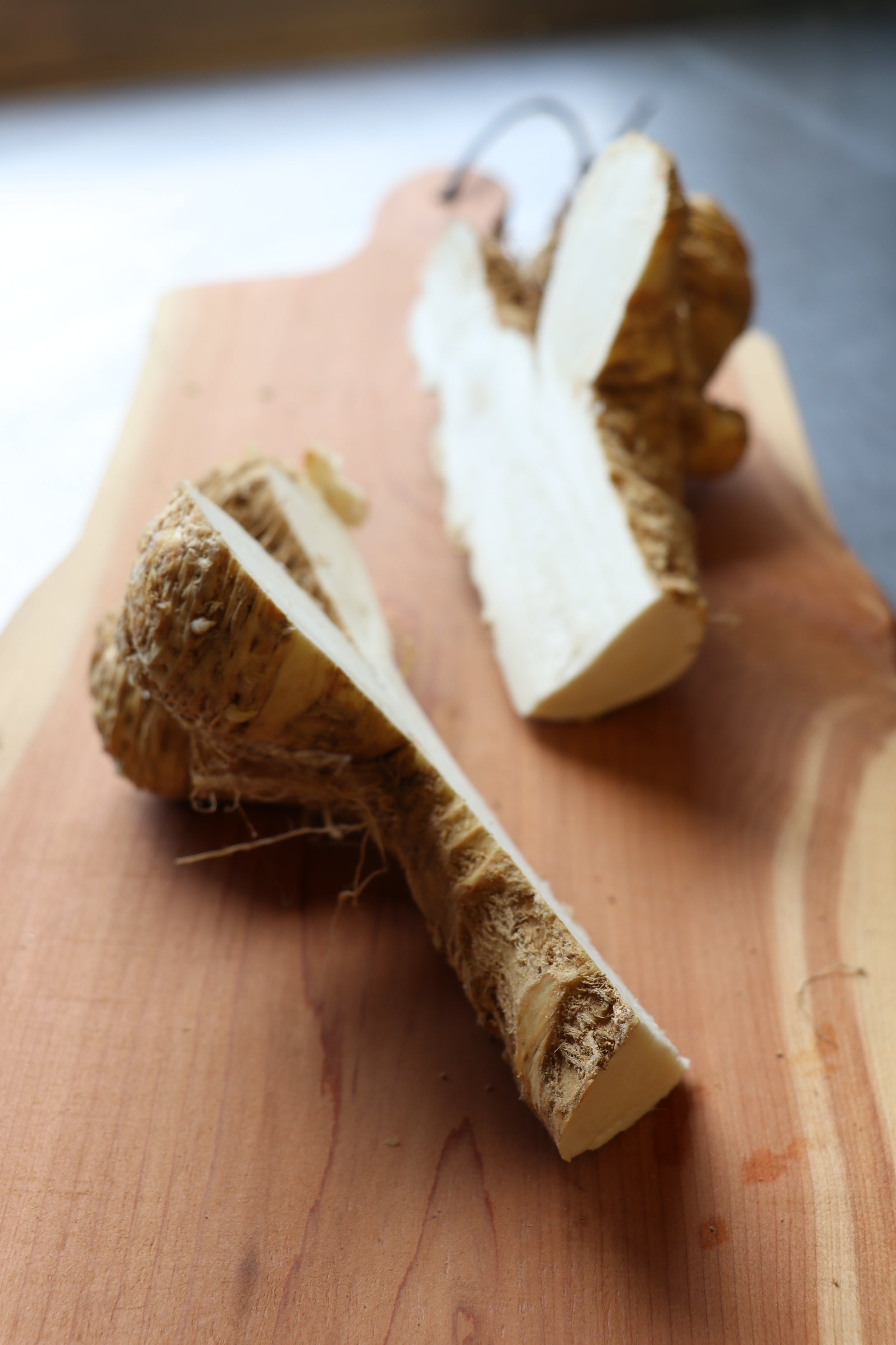 Ingredient Spotlight: Horseradish – Hany's Harvest