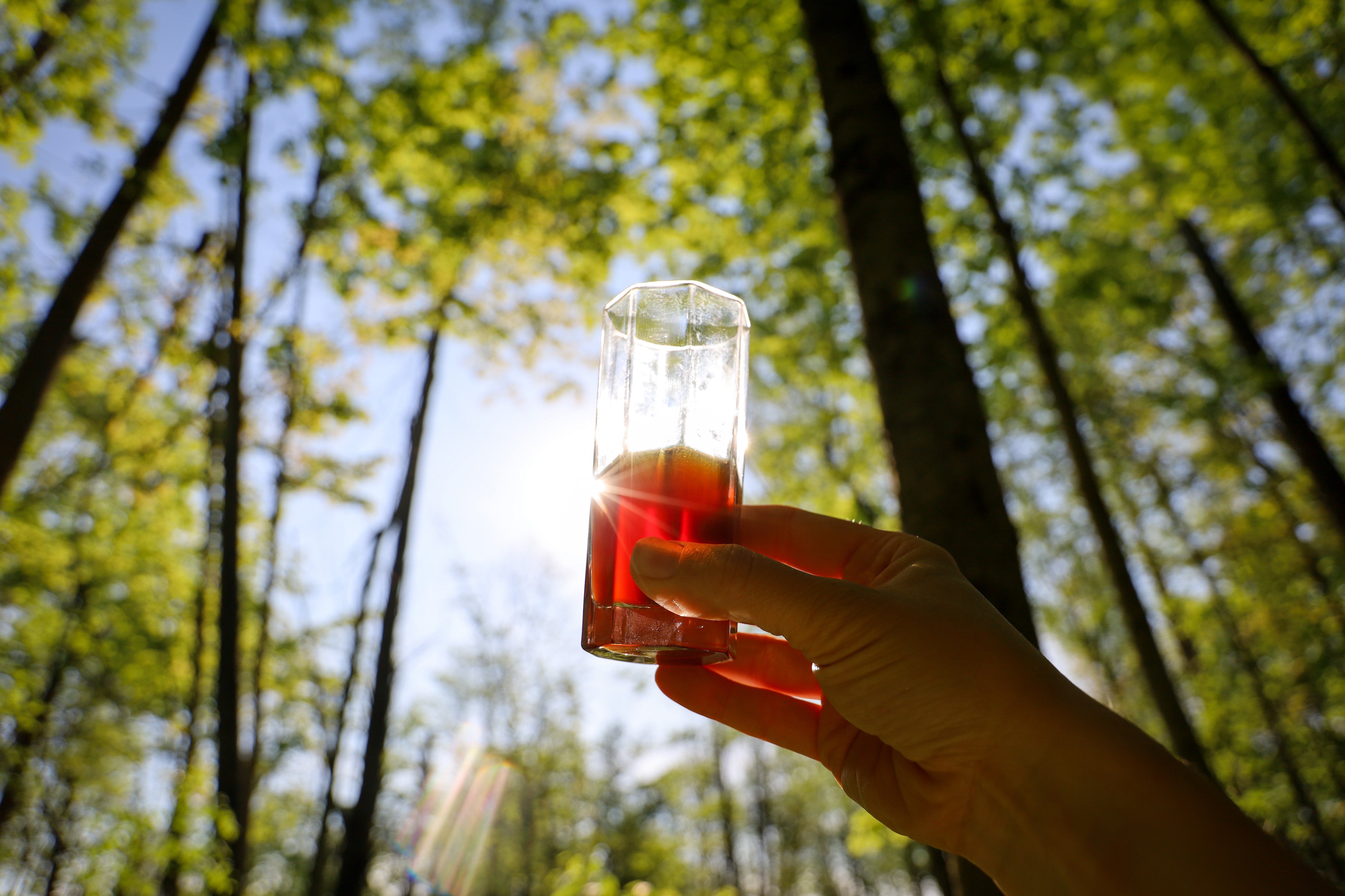 A Crash Course in Oxymels! – Hany's Harvest