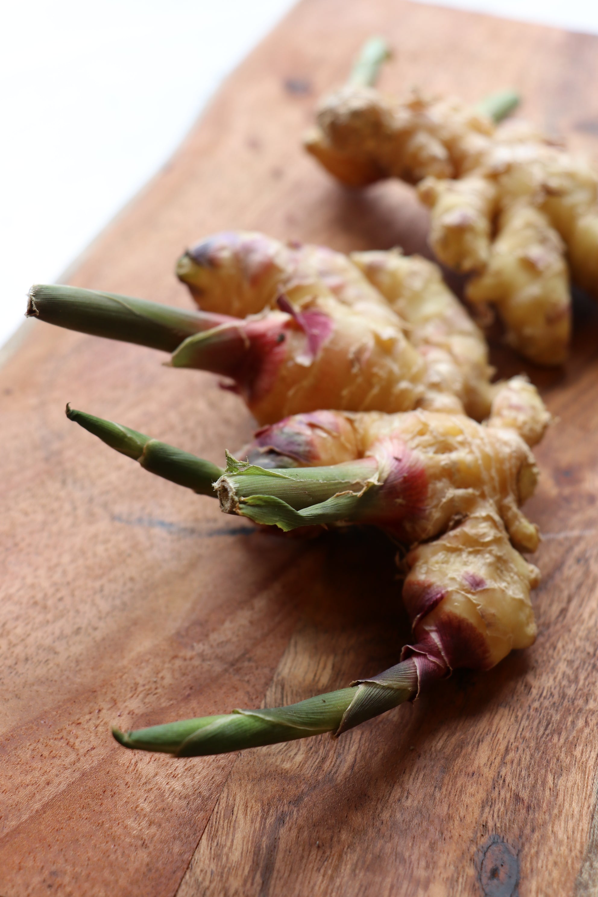 Ingredient Spotlight: Ginger – Hany's Harvest