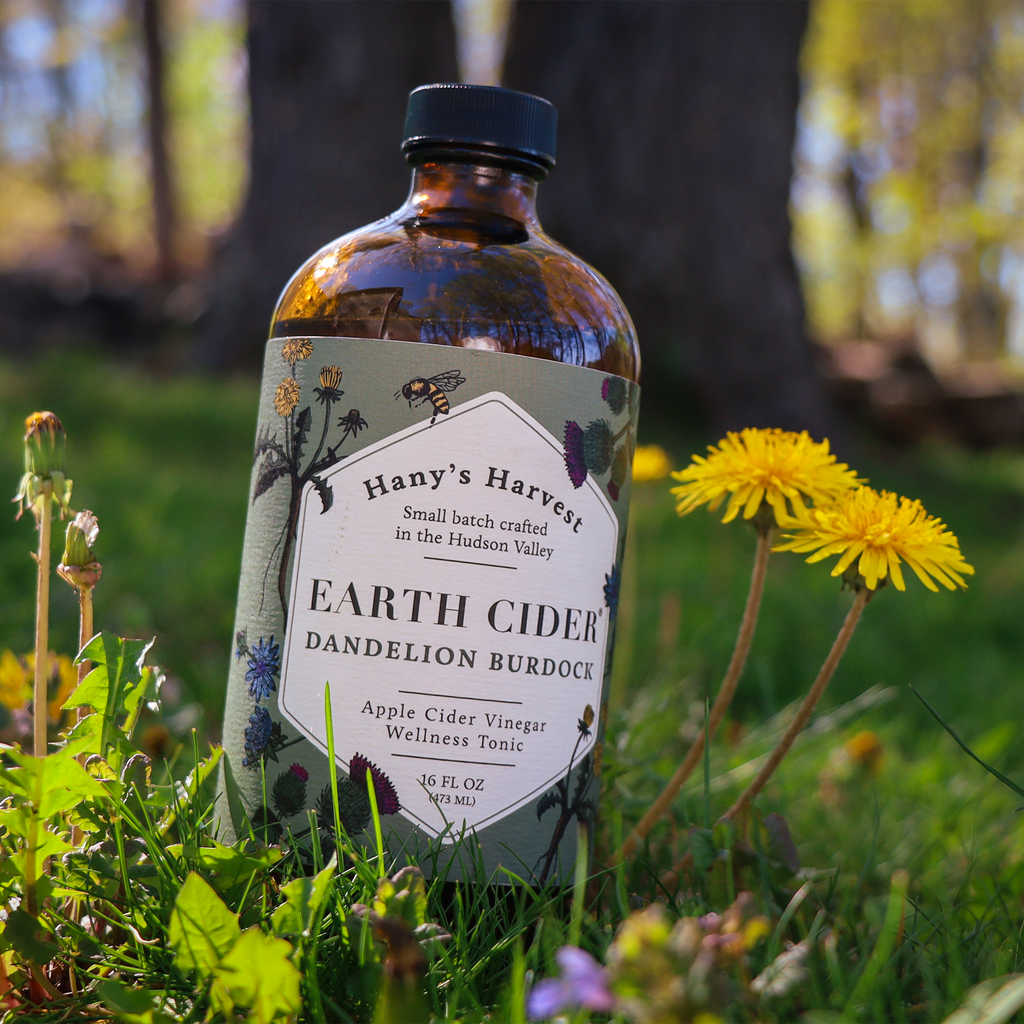 Dandelion Earth Cider – Hany's Harvest