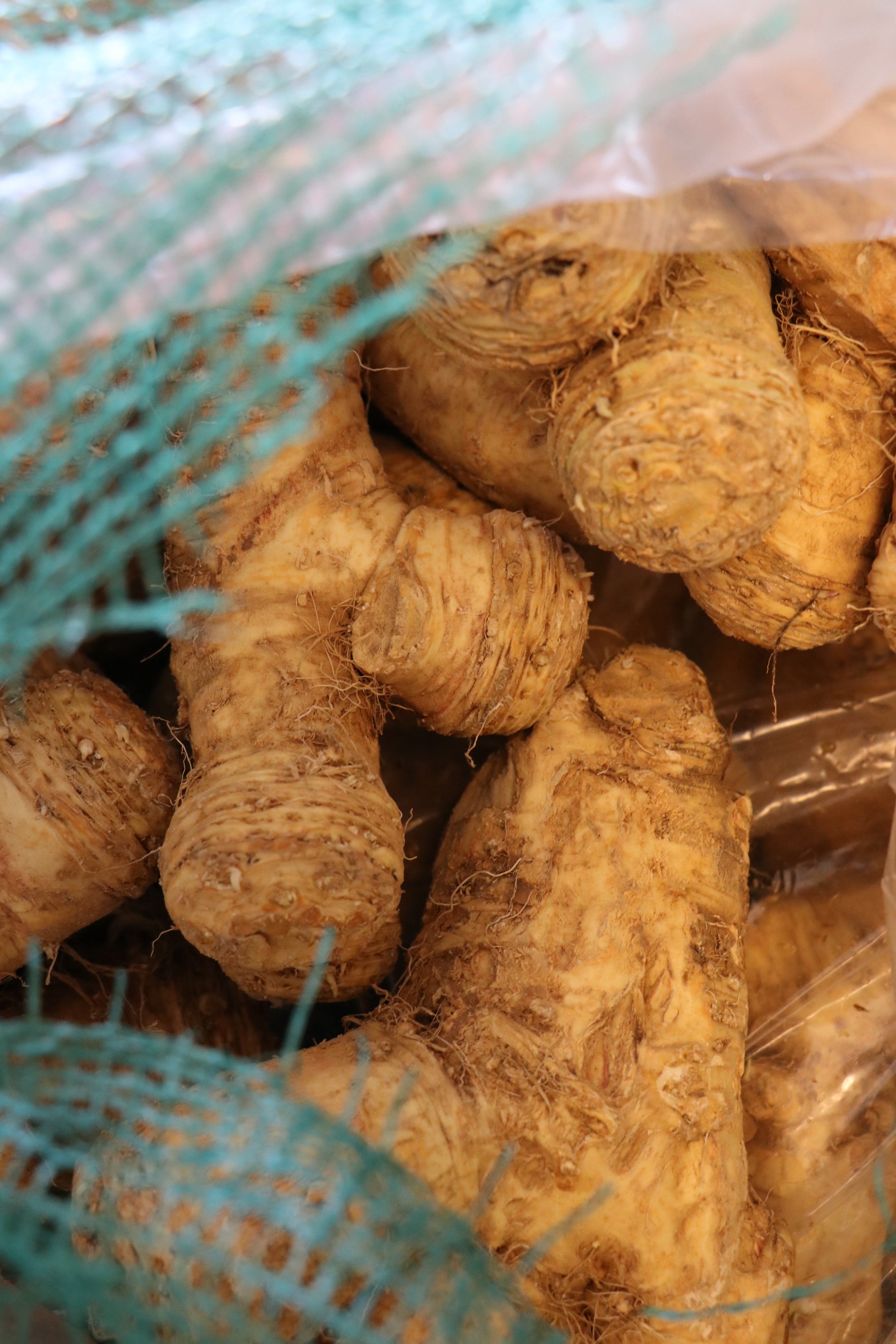 Our Process – Hany's Harvest