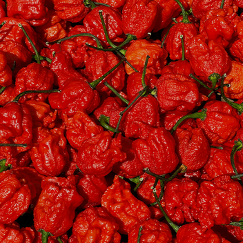 Hany's | Boldly made Small Batch Craft Fire Ciders and Earth Ciders ...